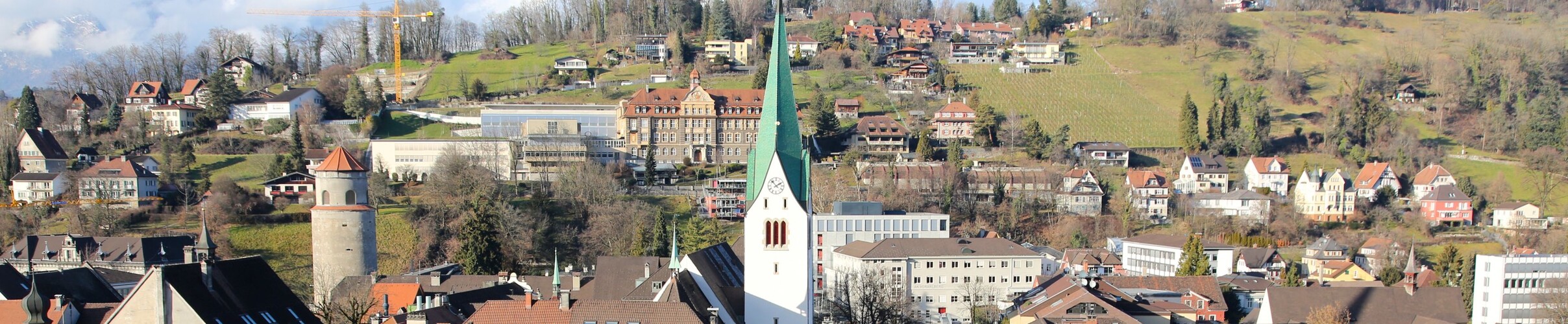 Rheticus Gesellschaft: Satzungen